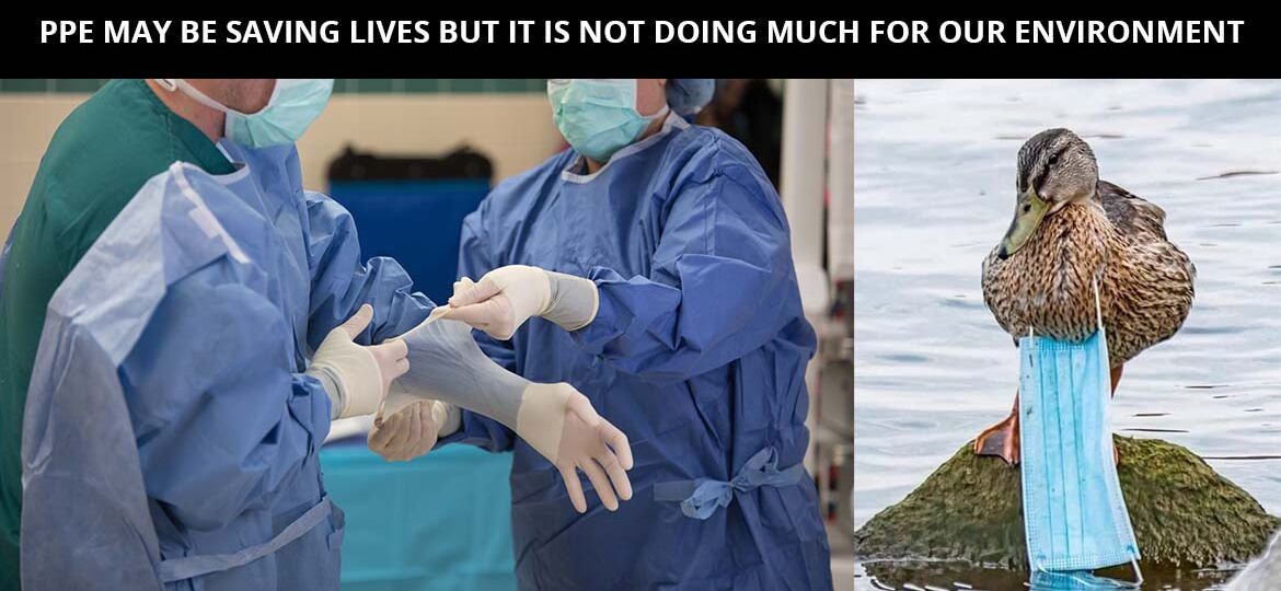 PPE saves lives but not wildlife | NZ | ph7 International Limited